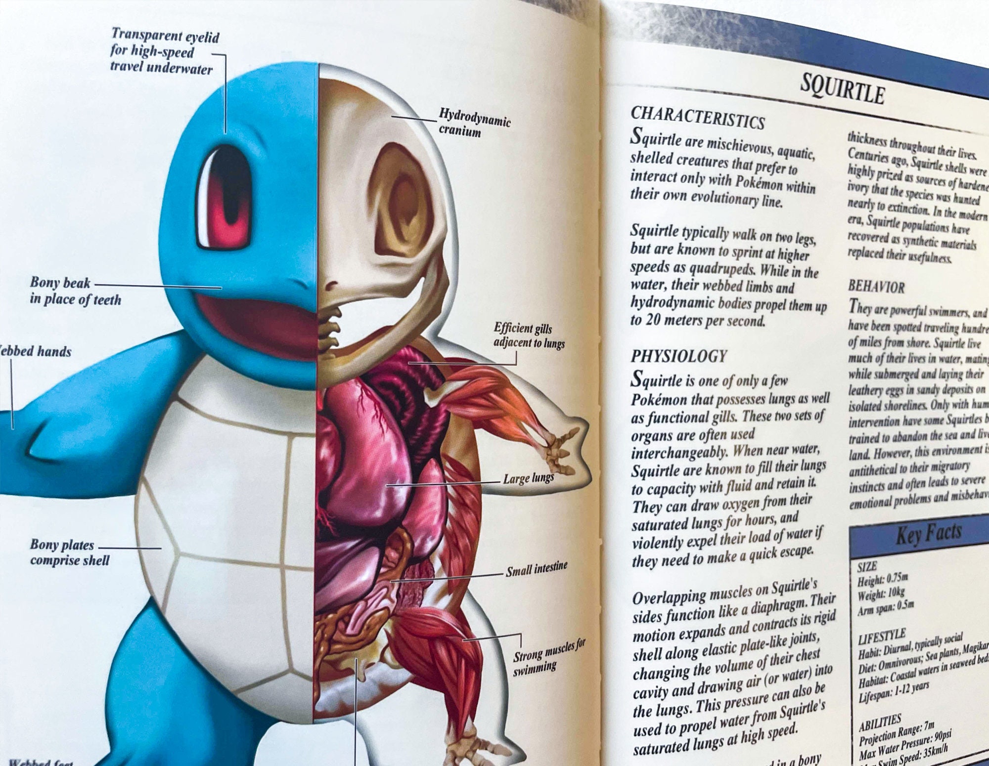 Pokemon Pokenatomy, A5 Size Pokemon Anatomy Book, Including 100 Pokemon ...
