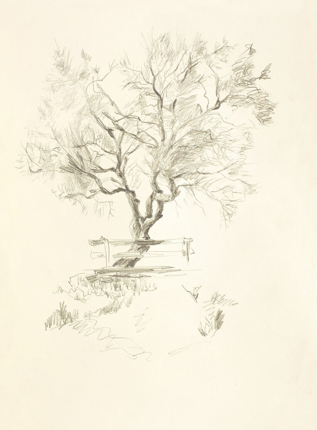 Tranquil Bench Beneath a Tree - Pencil Drawing High-quality Printable ...