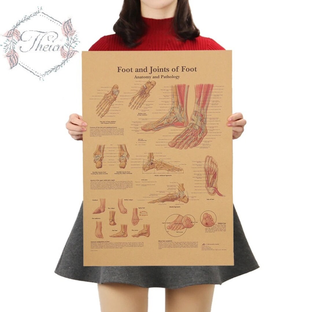 Foot and Joints of Foot Anatomy Vintage Retro Kraft Paper - Etsy UK