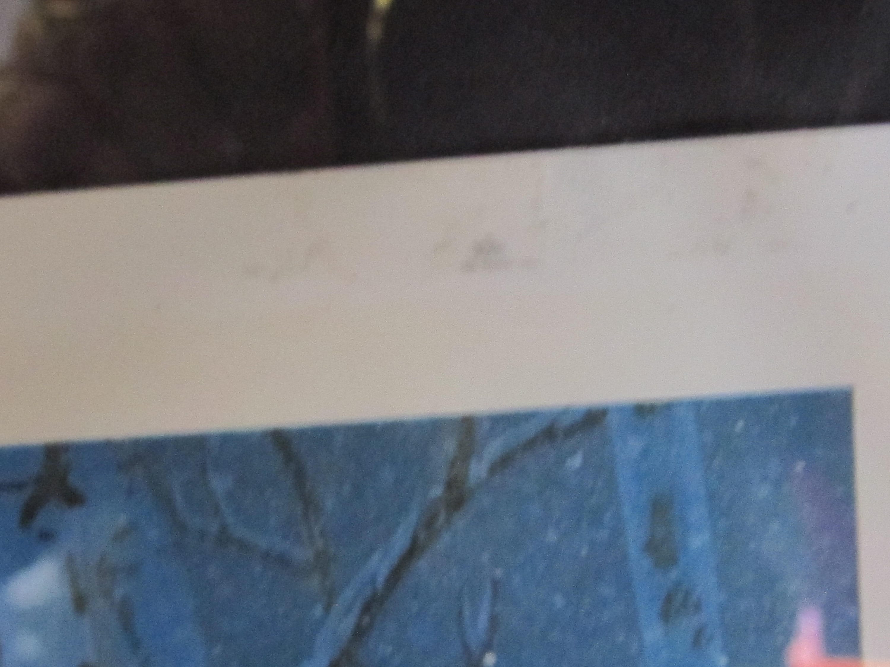 Print by Gale Running Wolf, Sr. Wolf Spirit 225/500 Signed - Etsy