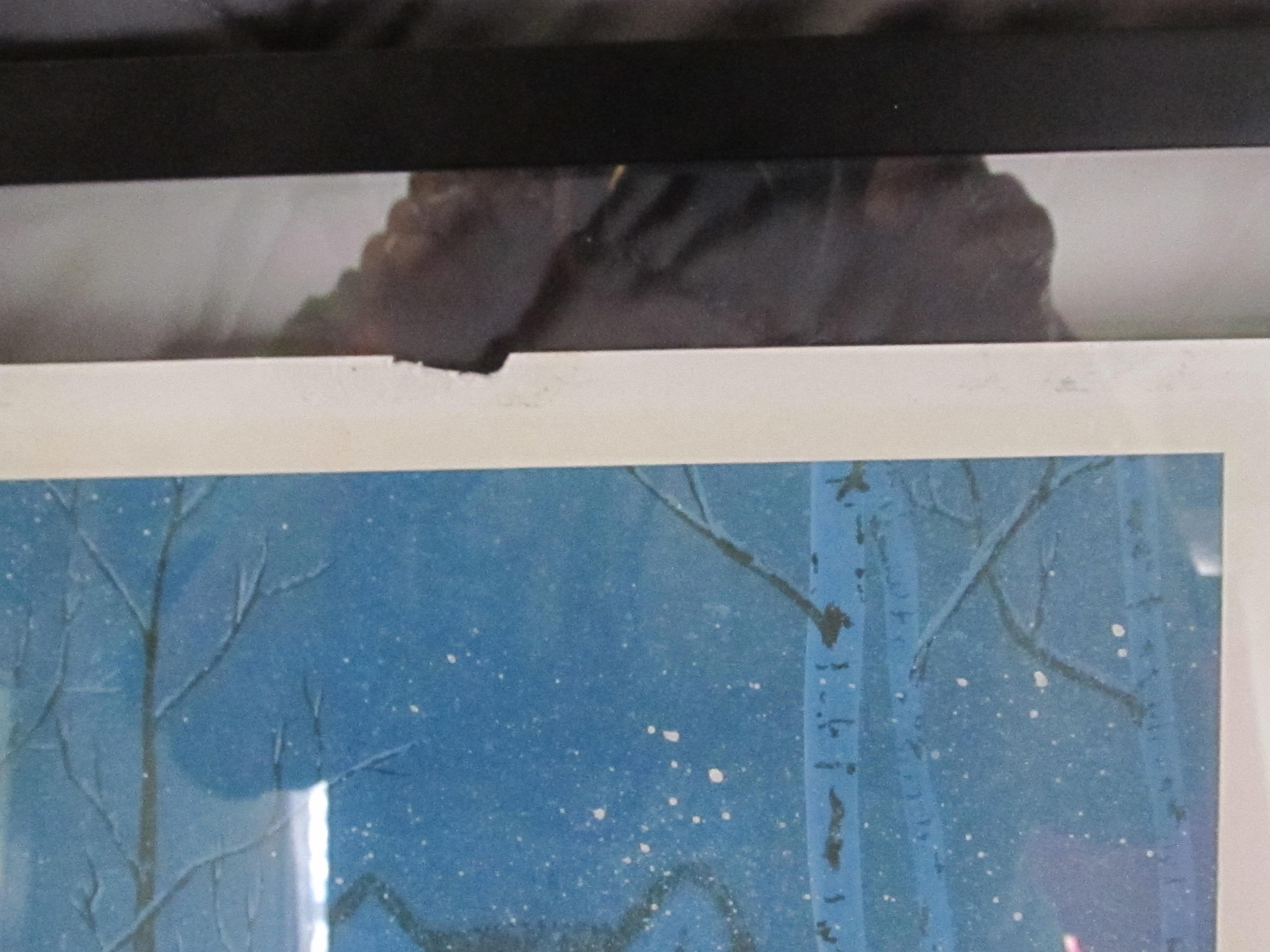 Print by Gale Running Wolf, Sr. Wolf Spirit 225/500 Signed - Etsy