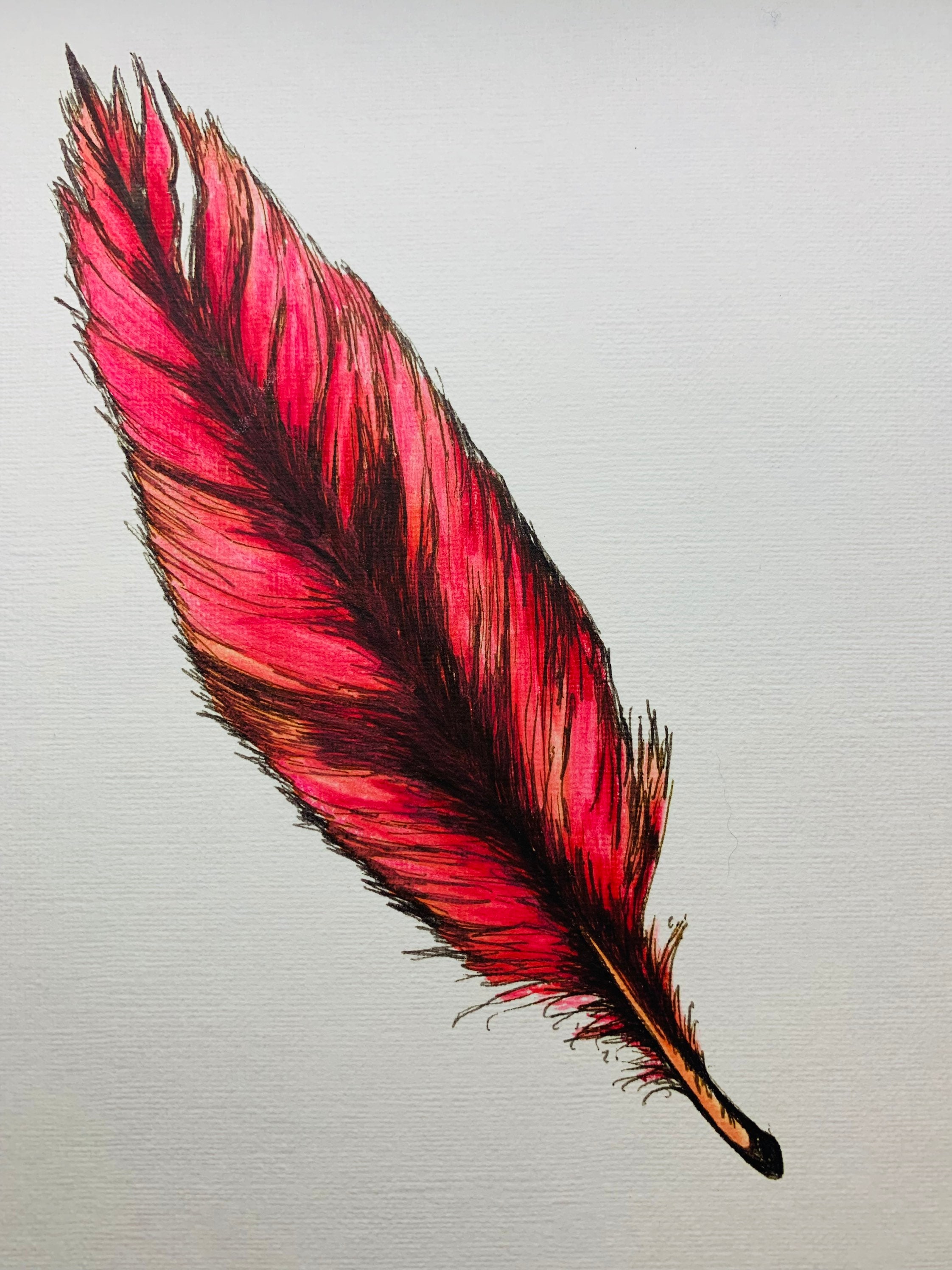Cardinal Feather Tattoo