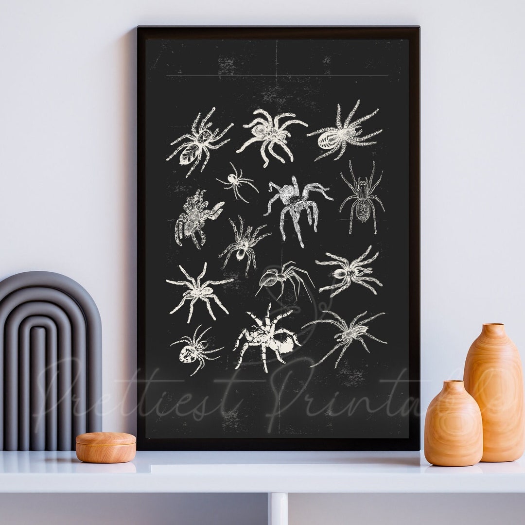 Spider Dark Digital Print, Tarantula Art, Gothic Minimalist Wall Decor ...