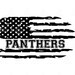 Panthers Svg, American Flag Svg, Go Team Panthers Svg, Football ...
