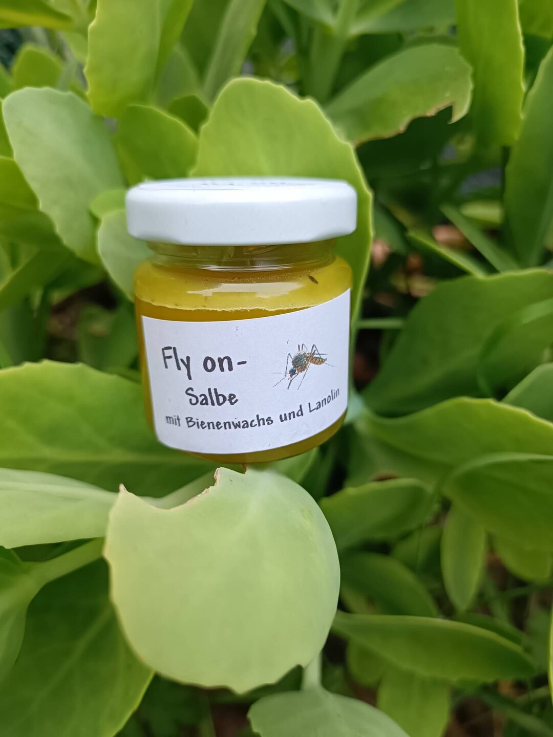 Fly On, Mosquito Repellent, Black Flies, Horse Flies, Biting Flies, Oil ...