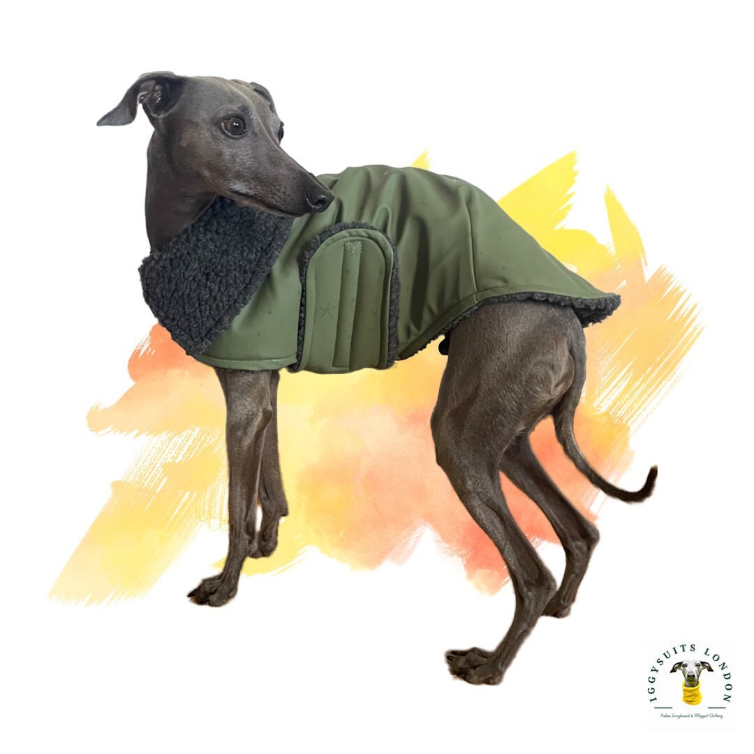 Size L Waterproof Rain Mac for Italian Greyhound & Whippets - Etsy