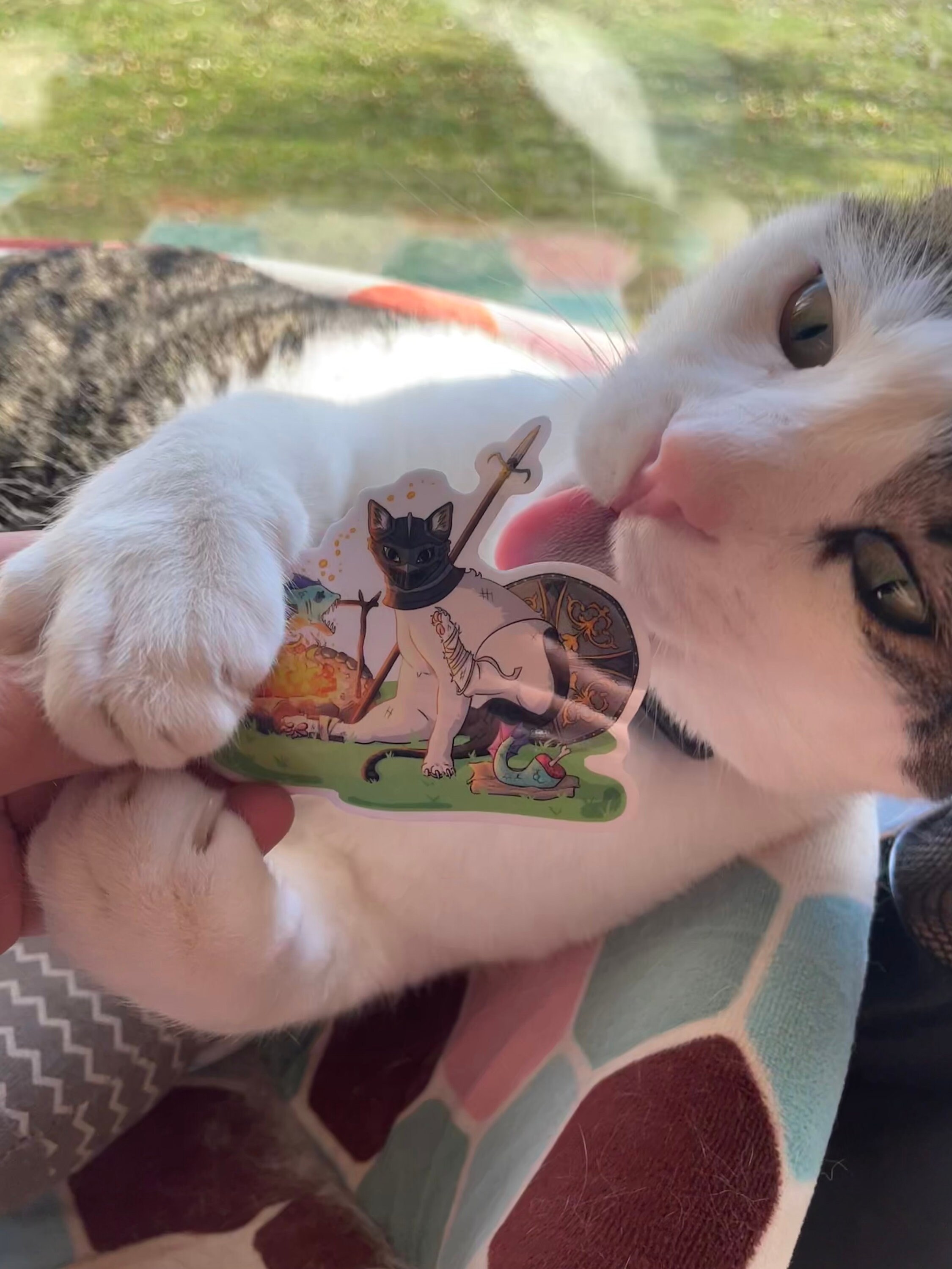 Cat Lancer Transparent Background Sticker - Etsy