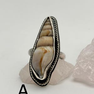 Hand-fabricated Sterling Silver Auger Seashell Ring - Etsy
