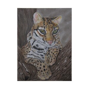 Thoughtful Ocelot Colored Pencil Print on Matt Archive Paper Support ...