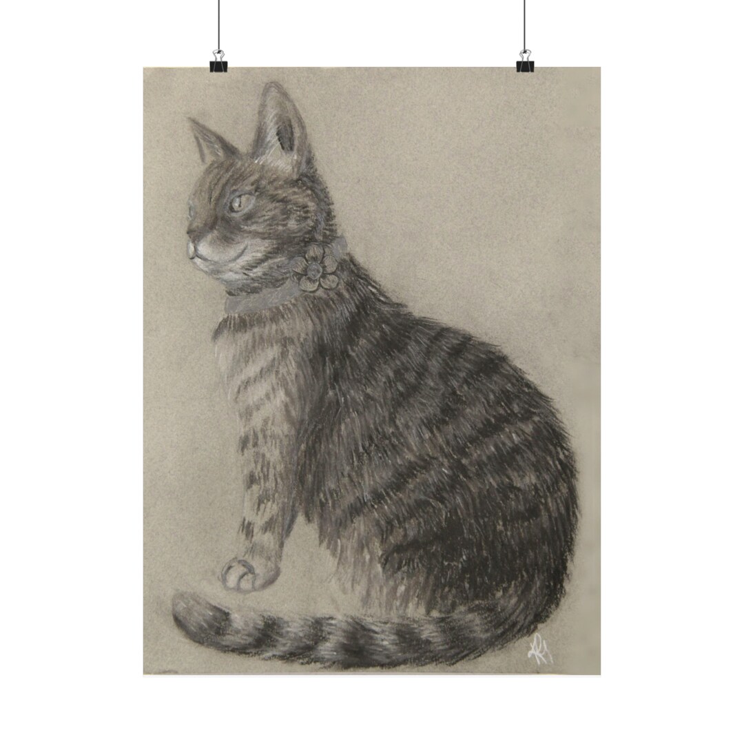 Tabby Cat Graphite Pencil Print on Matt Archive Paper to Support Animal ...
