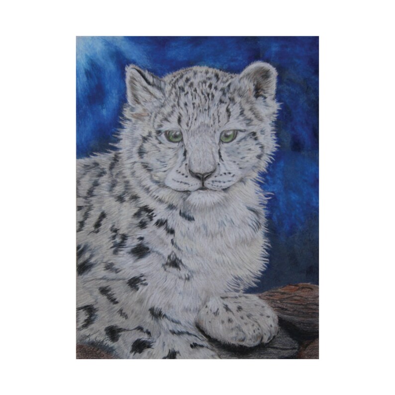 Snow Leopard Colored Pencil Print on Matt Archive Paper Support ...