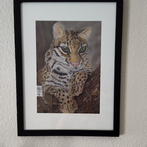 Thoughtful Ocelot Colored Pencil Print on Matt Archive Paper Support ...