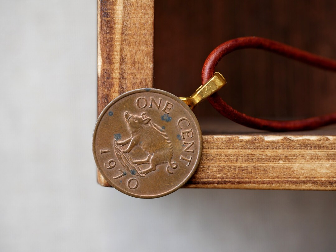 Bermuda Coin Necklace: Wild Boar Penny, Leather Cord - Etsy
