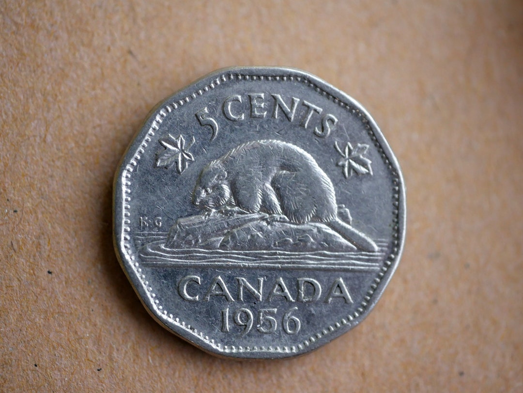 Canadian Beaver Coin Pin, Genuine Foreign Coin Canada Wildlife Woodland ...