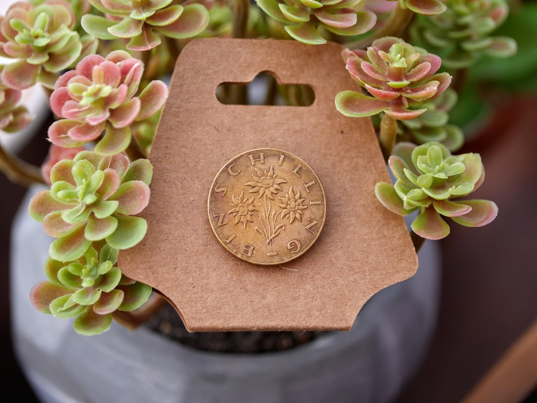 Austrian Edelweiss Coin Pin: Travel Souvenir Gift - Etsy