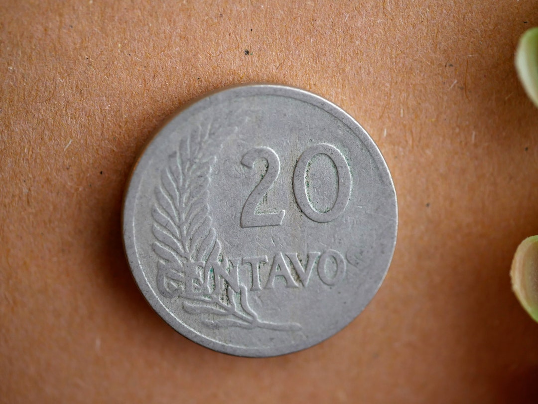 Peruvian Coin Pin: Genuine Foreign Coin Brooch, Fern Leaf Design - Etsy