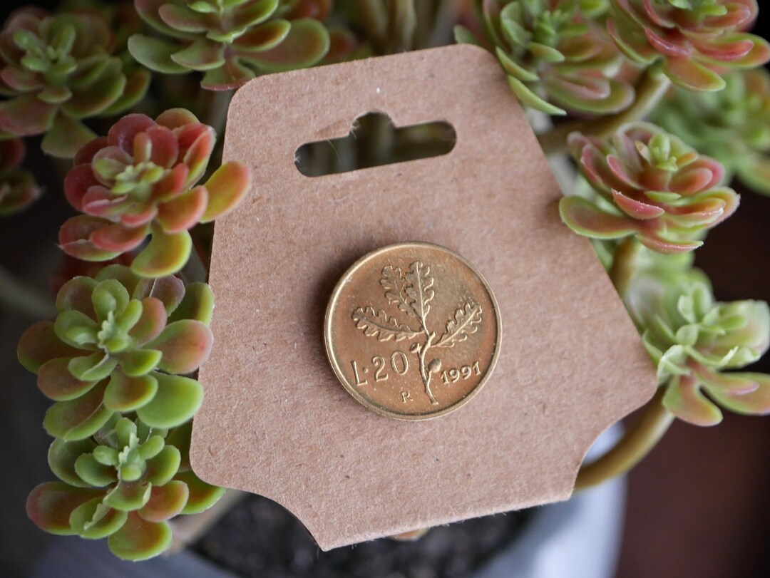 Italian Acorn Coin Pin: Collectable Foreign Coin Jewelry - Etsy