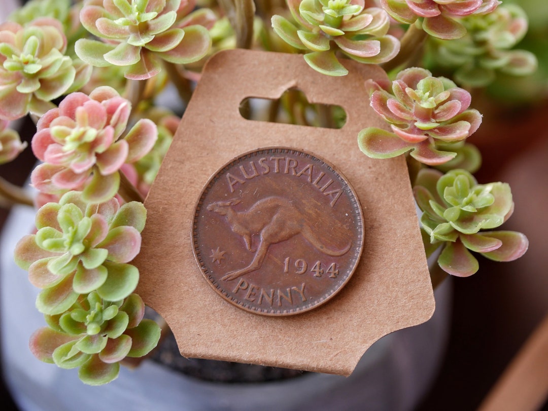 Vintage Australian Penny Pin: Kangaroo Souvenir Gift - Etsy