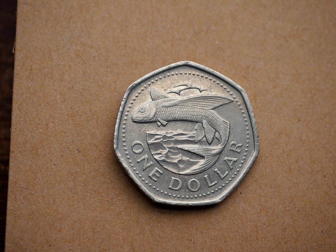 Barbados Flying Fish Coin Pin: Tropical Ocean Brooch - Etsy