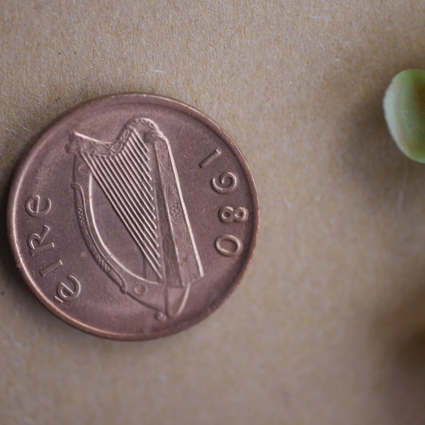 Harp Coin - Etsy