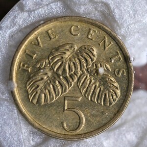 Singapore Tropical Leaves Keychain, Pearl Nautical Keychain, Foreign ...