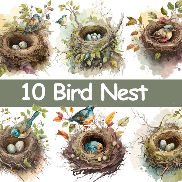Bird and Nest Clipart - Etsy