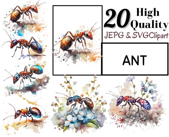 Significant Other Ant Farm Clipart