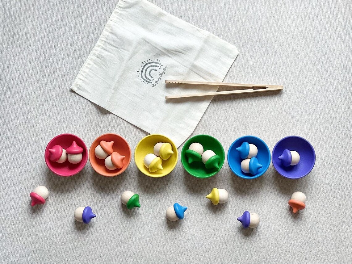 Rainbow Acorn Sorting Set -montessori- Hand Painted - Etsy