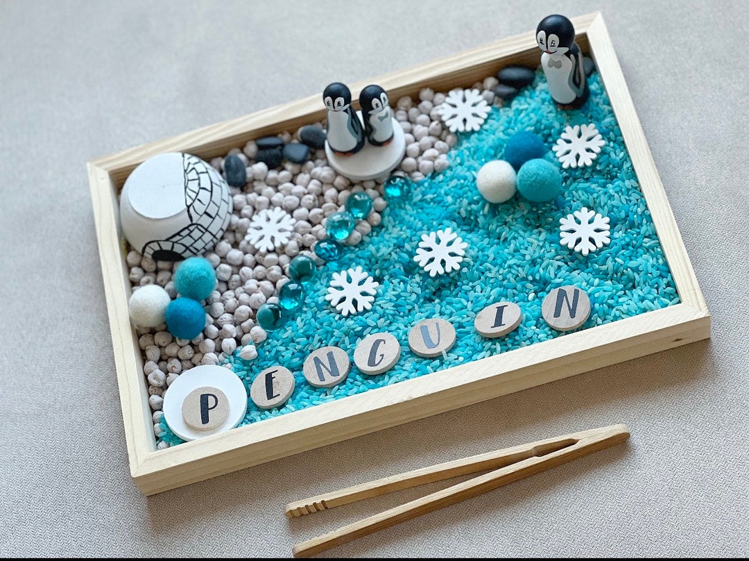 Penguin Play Box - Sensory Bin - Wooden Sensory Kit - Etsy