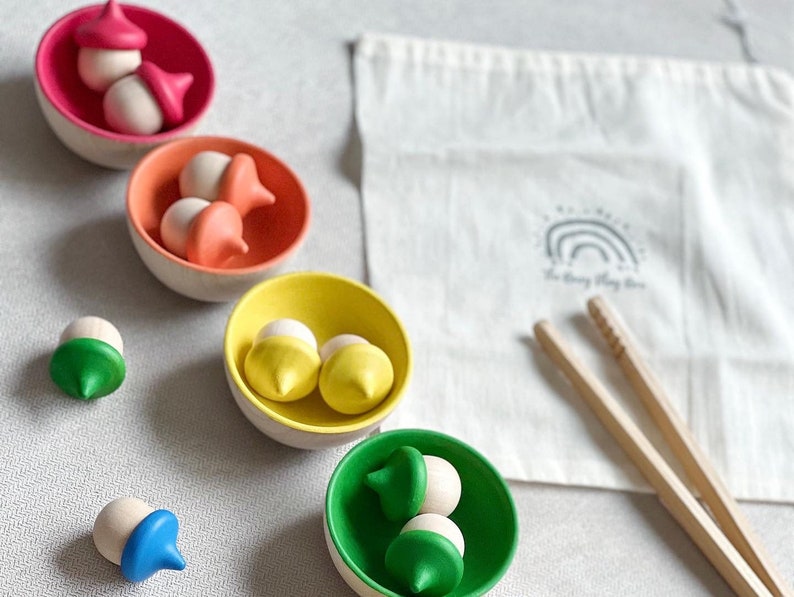 Rainbow Acorn Sorting Set -montessori- Hand Painted - Etsy