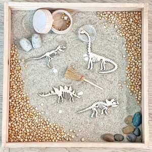 Dino Dig Play Box - Fossils - Sensory Bin - Etsy