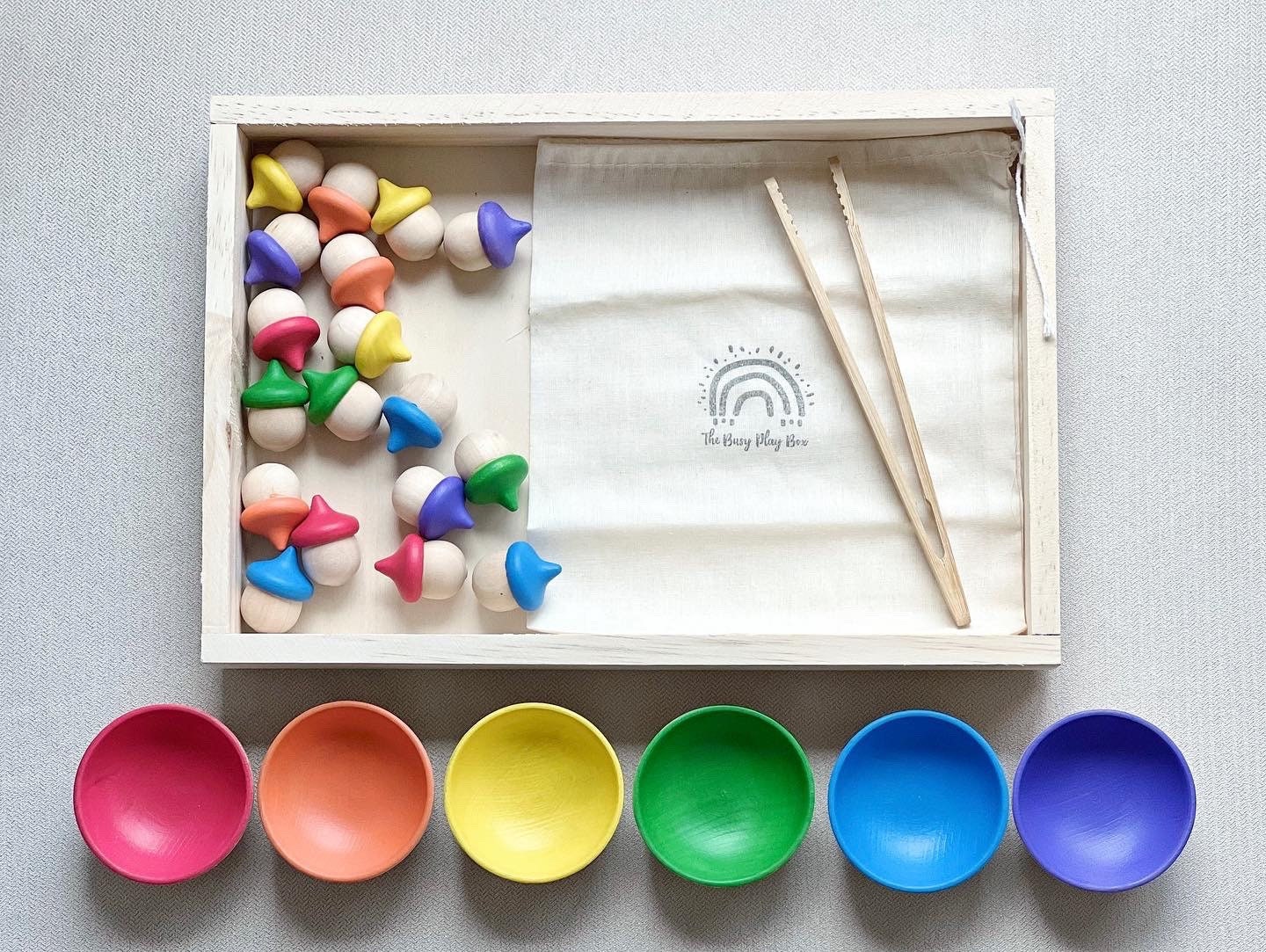 Rainbow Acorn Sorting Set montessori Hand Painted - Etsy