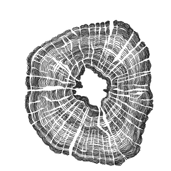 Oak Tree Trunk - Etsy