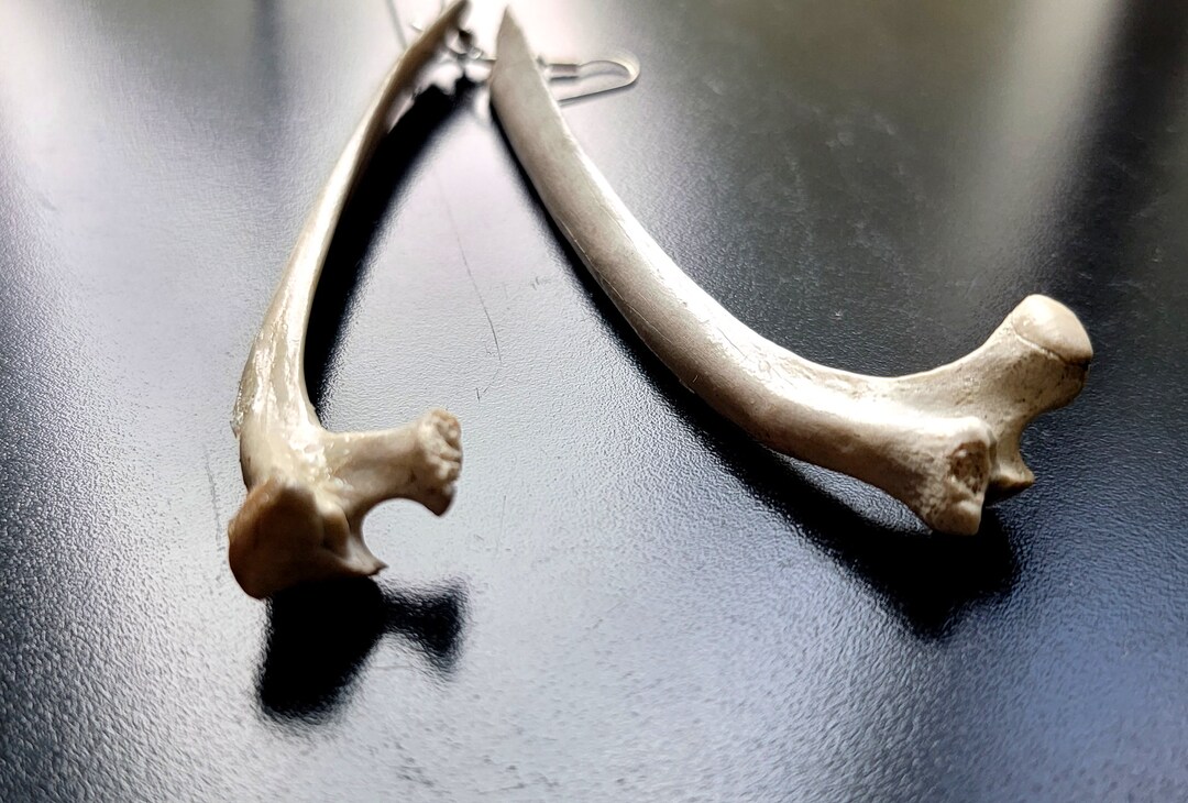 Rib Bone Earring - Etsy