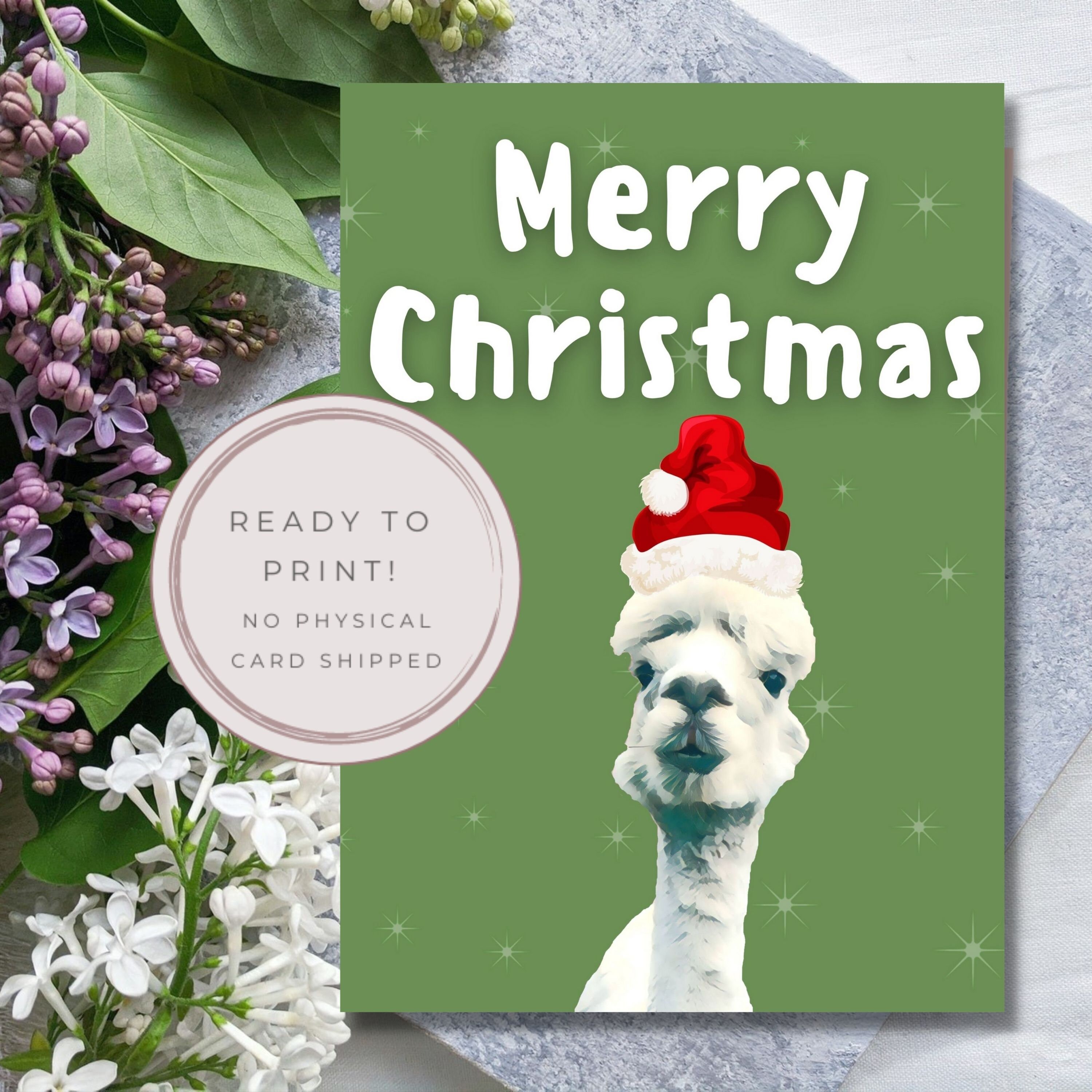 Alpaca Christmas Card, Llama Holiday Card, Merry Christmas, Santa Hat ...