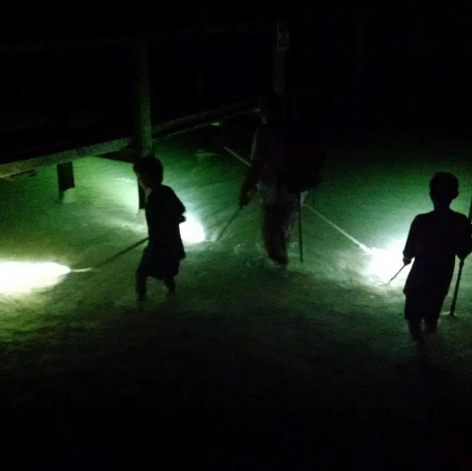 Fishstik Flounder Gigging Led Light - Etsy