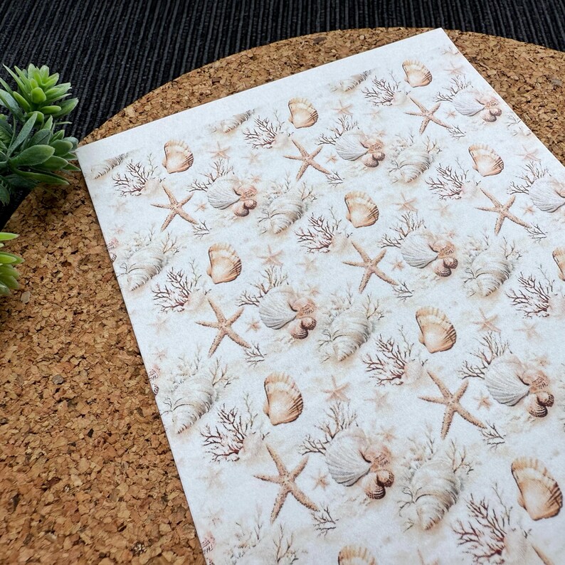 Seashells & Starfish Polymer Clay Transfer Sheet – Coastal Summer ...