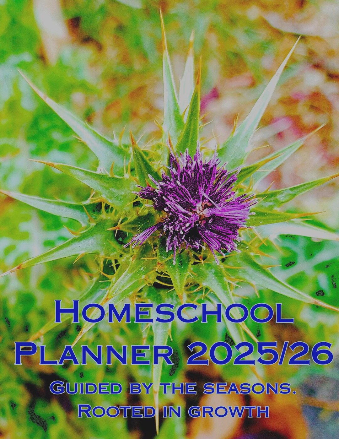 Homeschool Planner 2025/26 Printable – Weekly Assignment Sheets ...