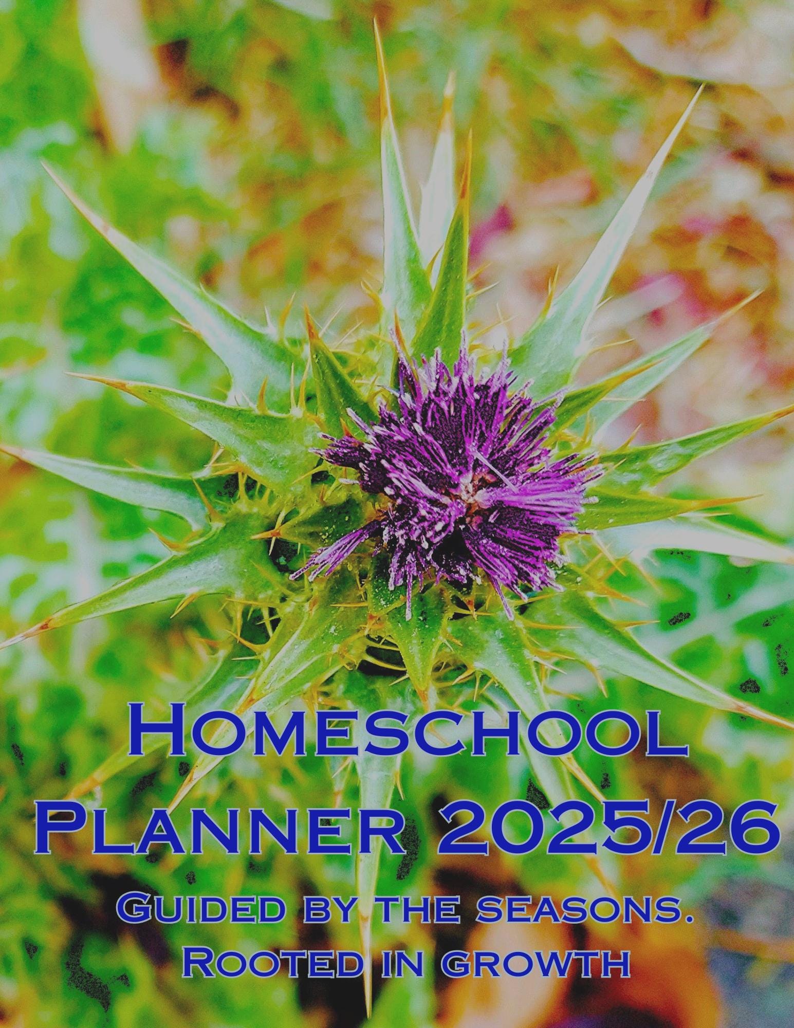 Homeschool Planner 2025/26 Printable – Weekly Assignment Sheets ...