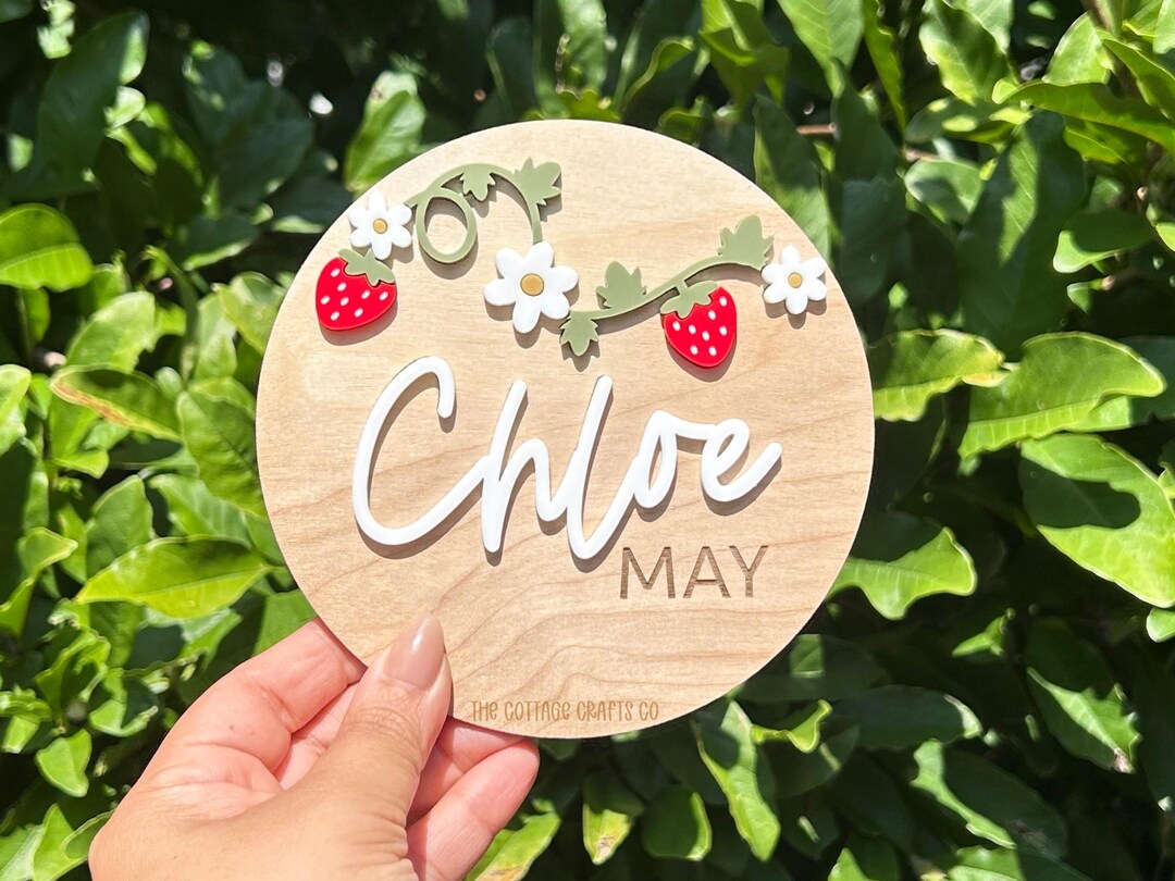 Strawberry Name Announcement Sign, Daisyname Sign, Baby Name Sign,fresh ...