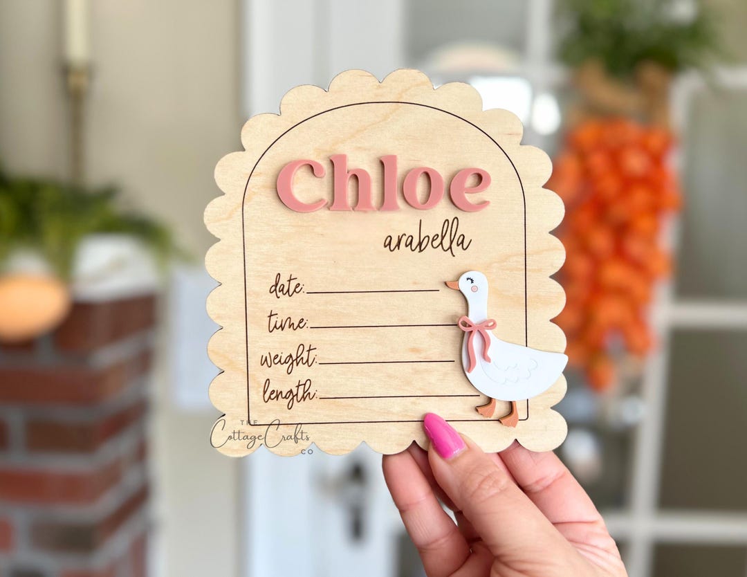 Goose Birth Announcement Sign: Personalized Newborn Photo Prop - Etsy