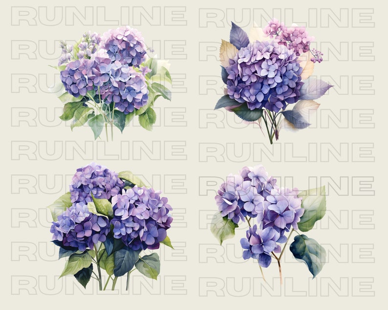 Hydrangea Watercolor Clipart, Watercolor Floral Clipart Bundle ...
