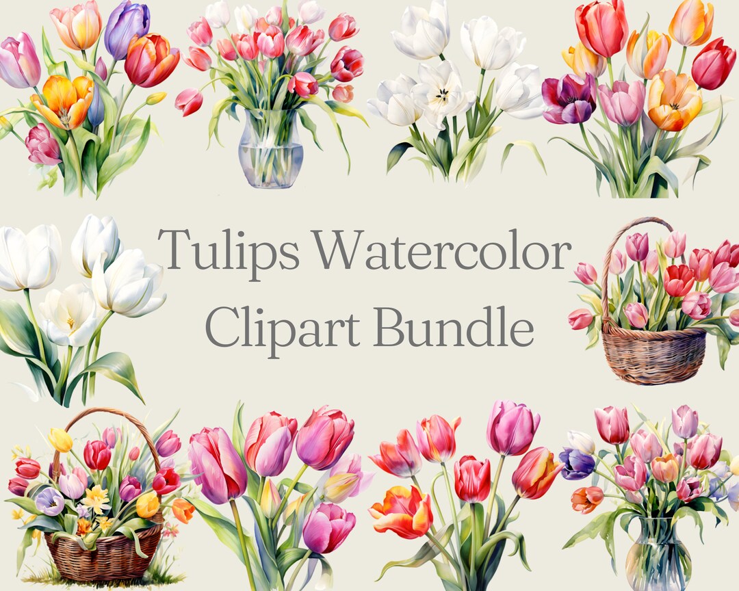Tulips Watercolor Clipart, Watercolor Floral Clipart Bundle, Tulips PNG ...