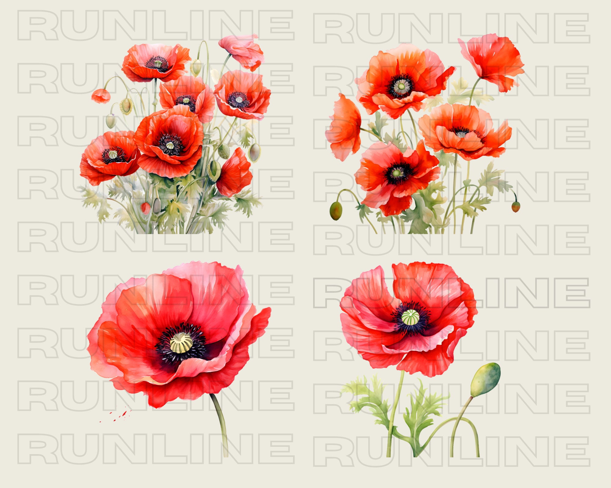 Poppies Watercolor Clipart Bundle, Watercolor Floral Clipart, Poppies ...