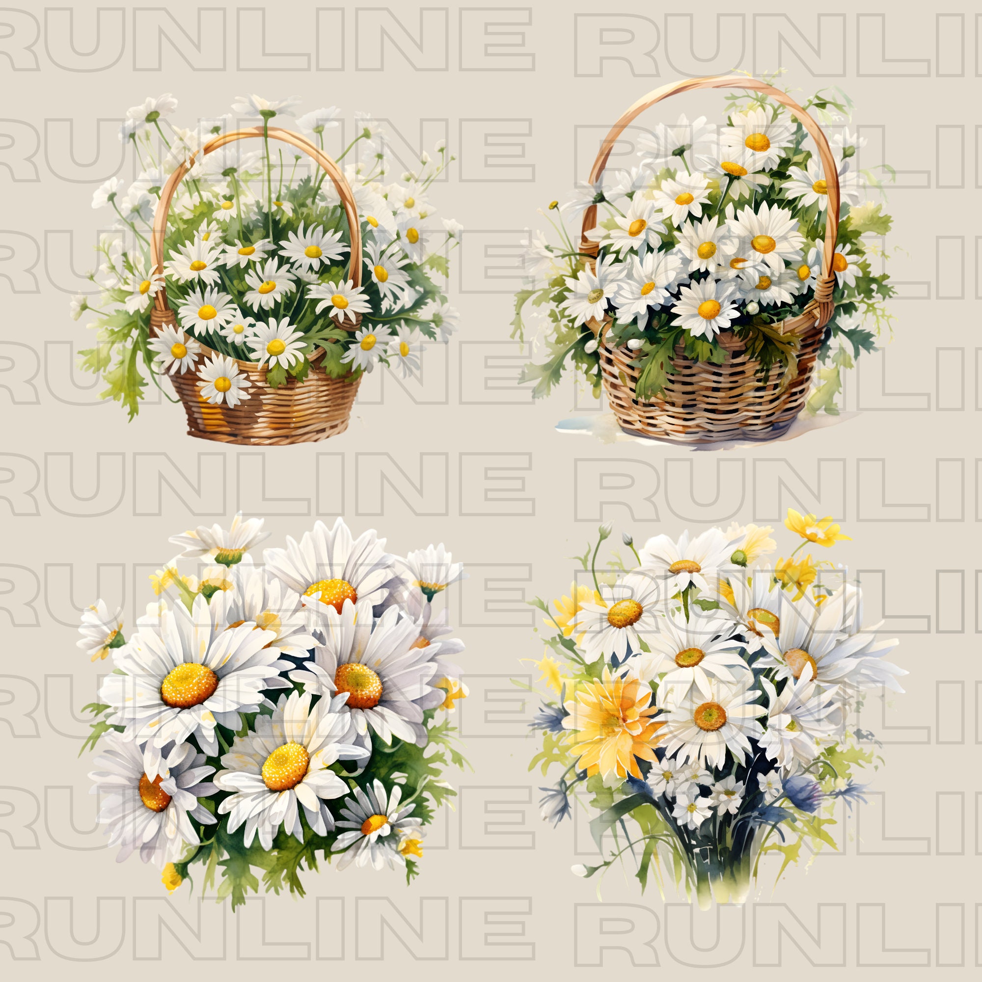 Daisy Watercolor Clipart Bundle Watercolor Floral Clipart - Etsy