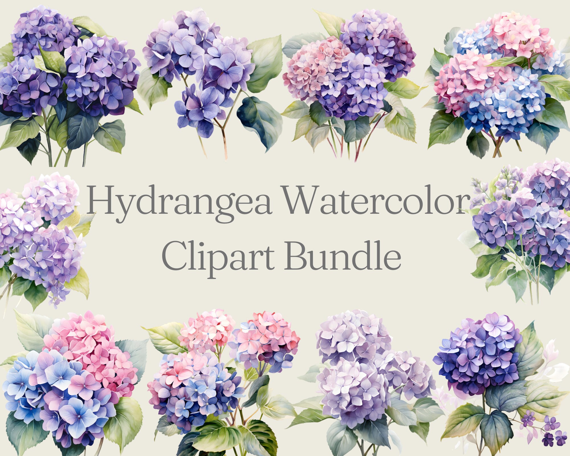 Hydrangea Watercolor Clipart, Watercolor Floral Clipart Bundle ...