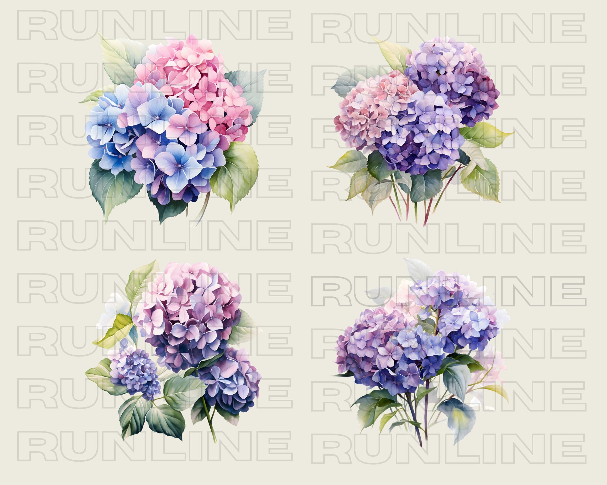 Hydrangea Watercolor Clipart, Watercolor Floral Clipart Bundle ...