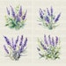 Watercolor Lavender Clipart Bundle, Watercolor Floral Clipart, Purple ...