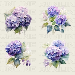 Hydrangea Watercolor Clipart, Watercolor Floral Clipart Bundle ...