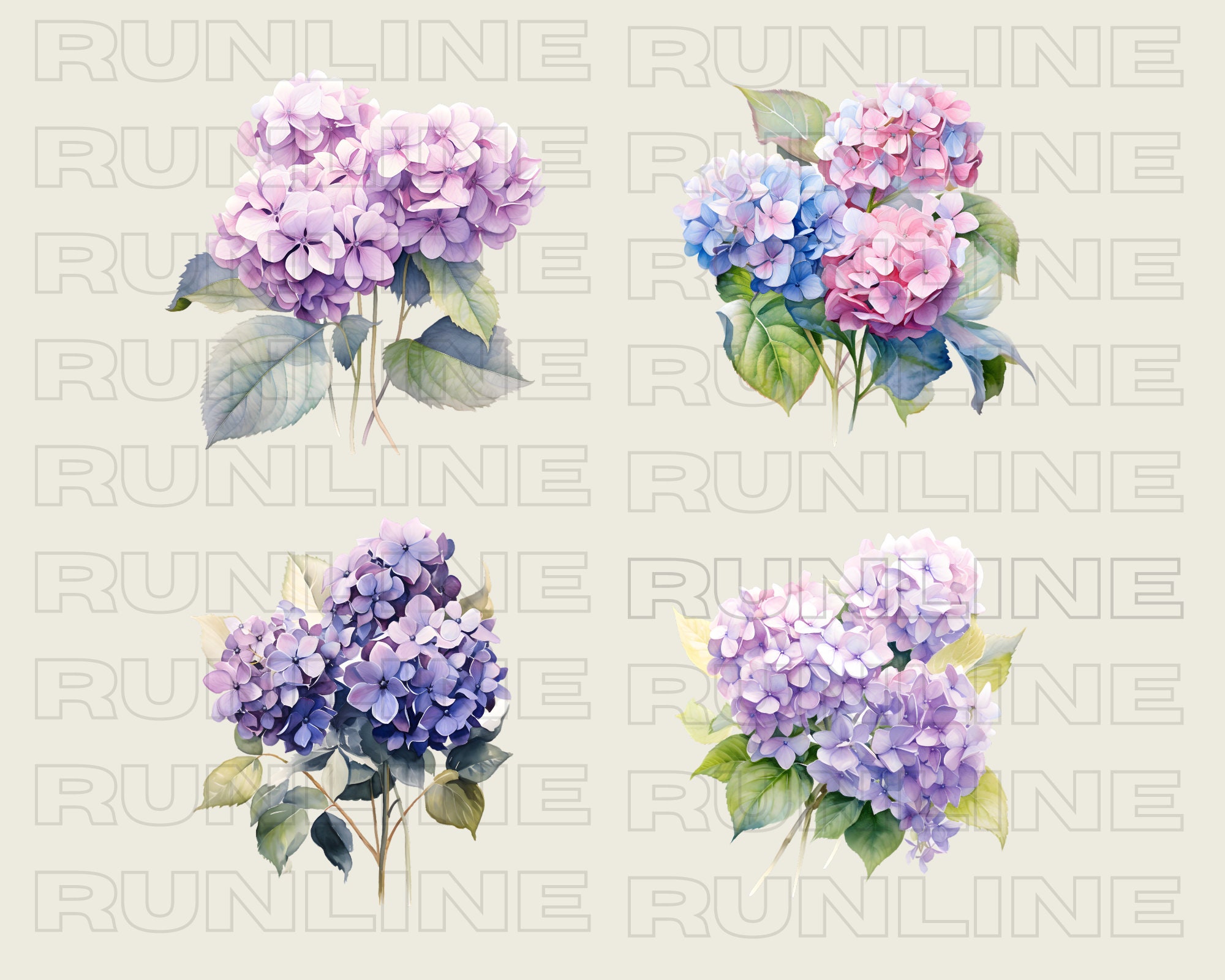 Hydrangea Watercolor Clipart, Watercolor Floral Clipart Bundle ...